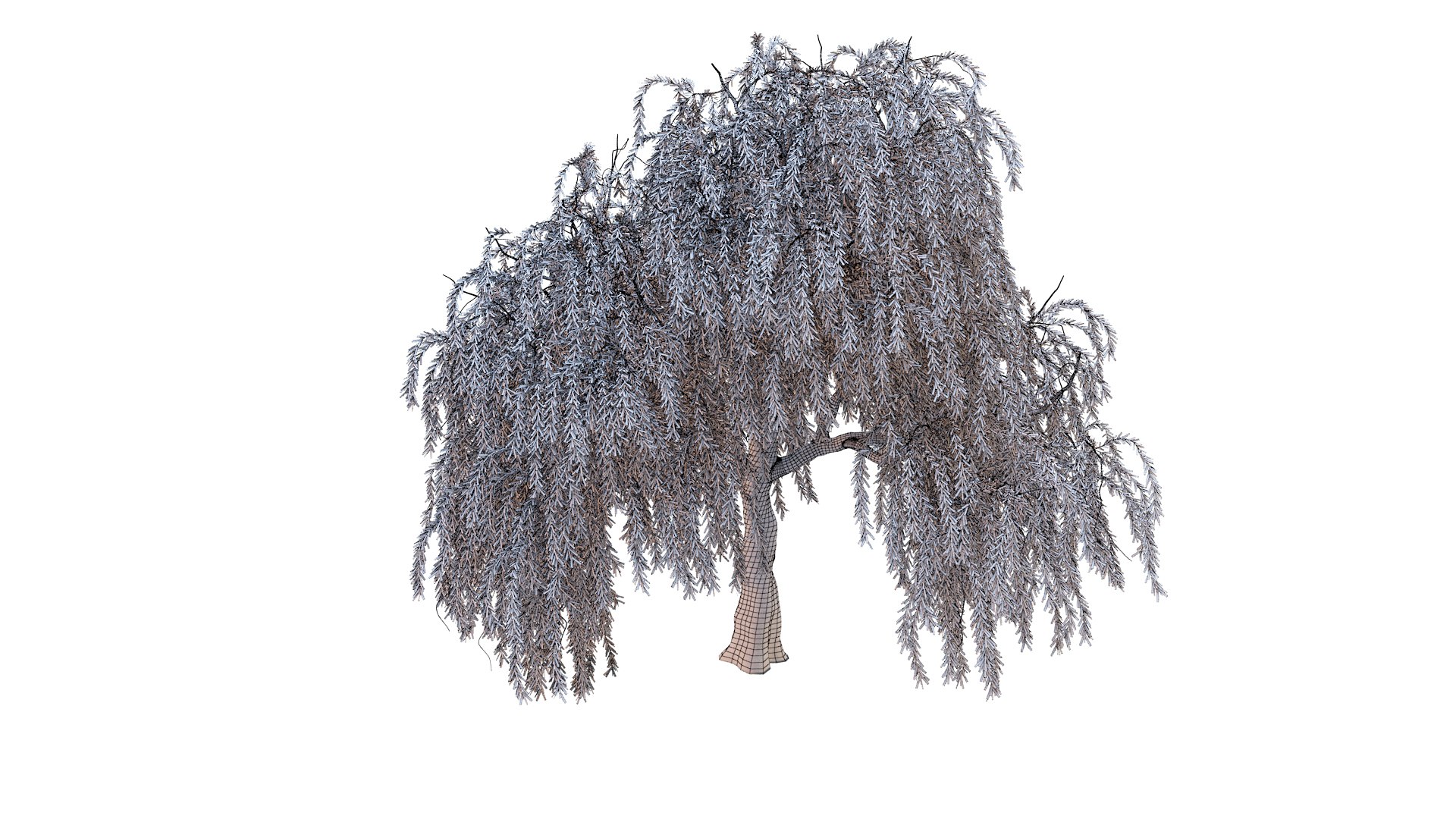 Willow tree 3D model - TurboSquid 1524357