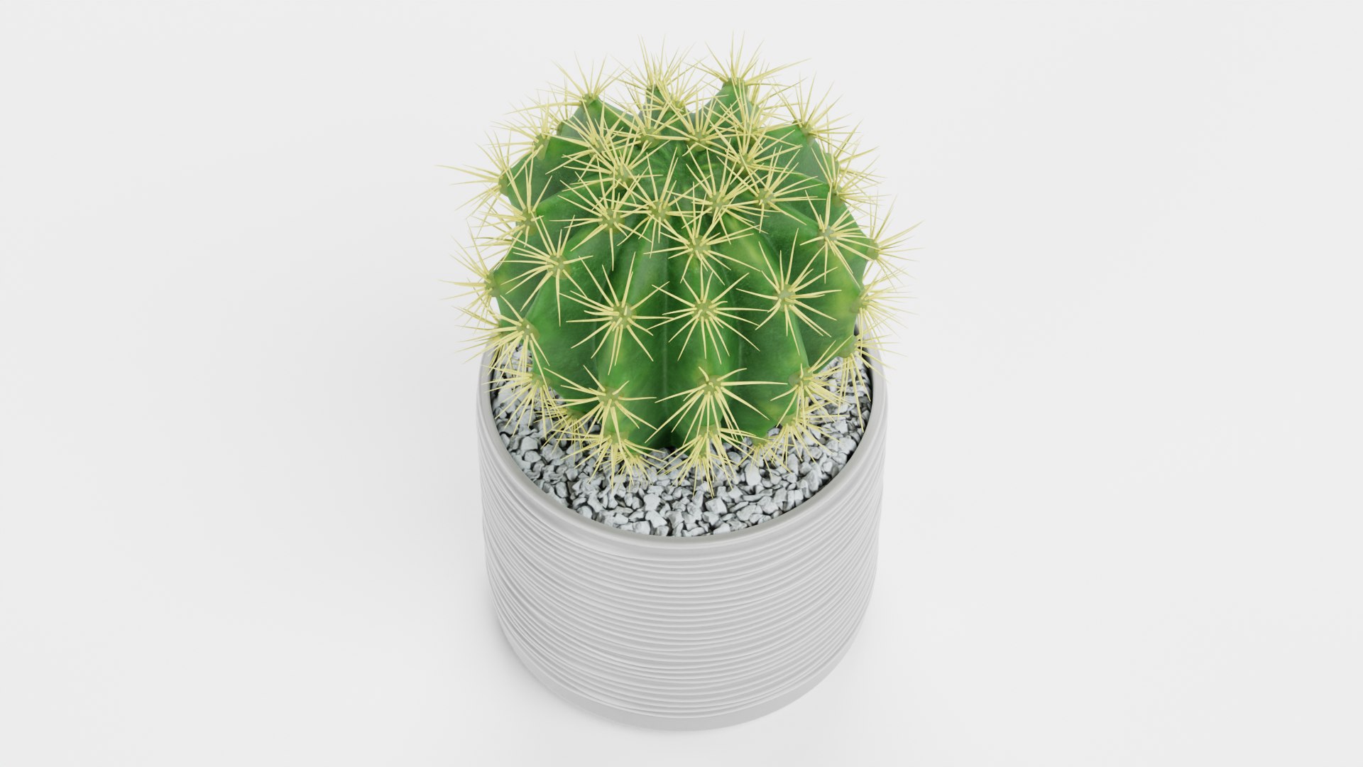 Golden Barrel In Pot Model - TurboSquid 2103350