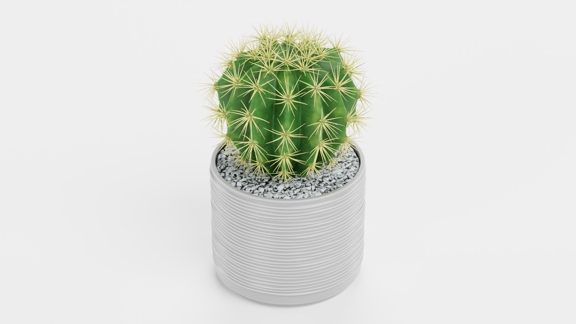 Golden Barrel In Pot Model - TurboSquid 2103350