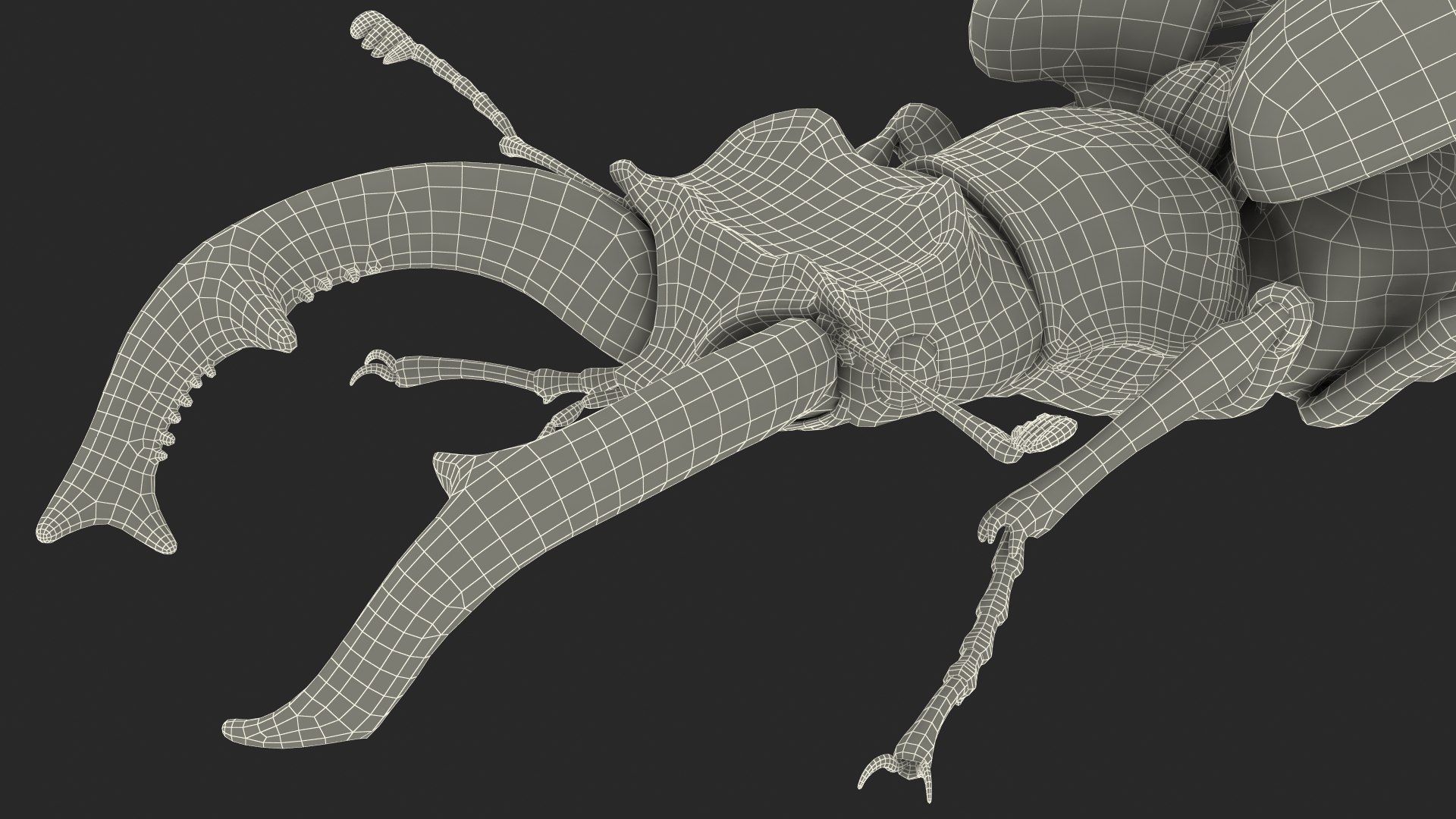 Lucanus Cervus Stag Beetle Model - TurboSquid 1512880