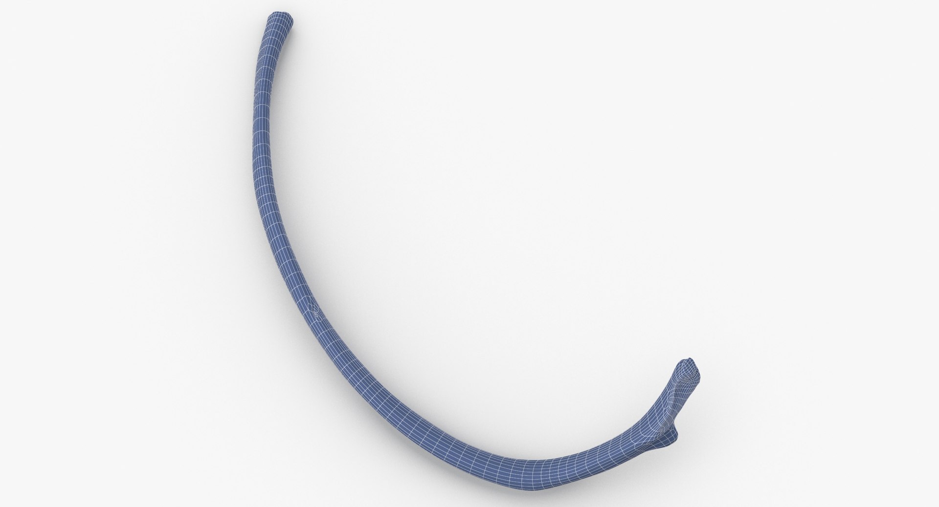 Costae Verae Rib 04 3D - TurboSquid 1548940