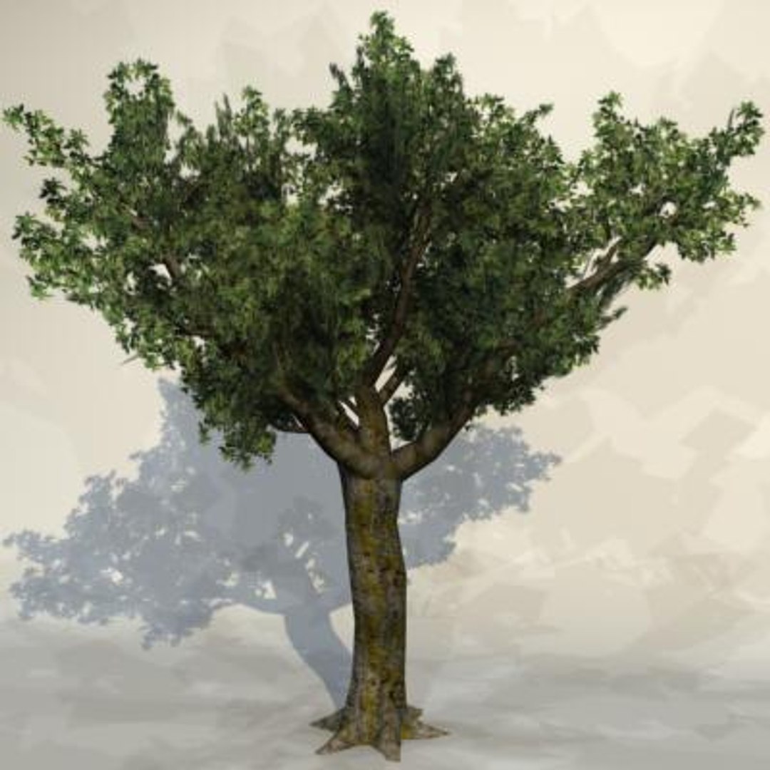 3d Model Pc Tree