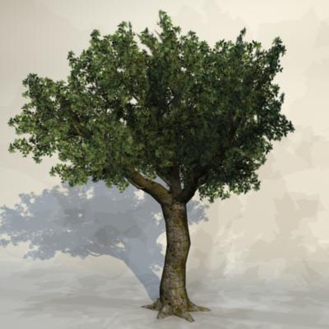 3d Model Pc Tree