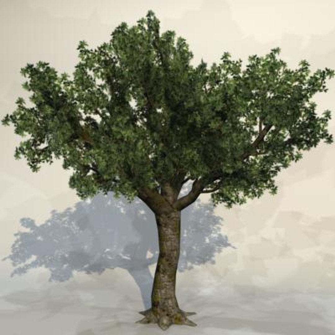 3d Model Pc Tree