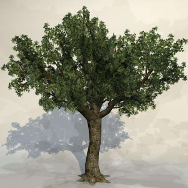 3d pc tree model
