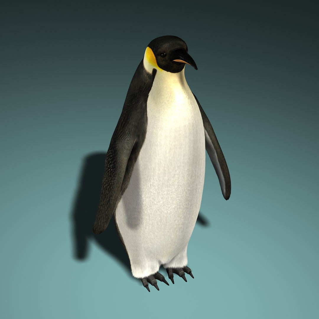 Ma Penguin Fur Rigged