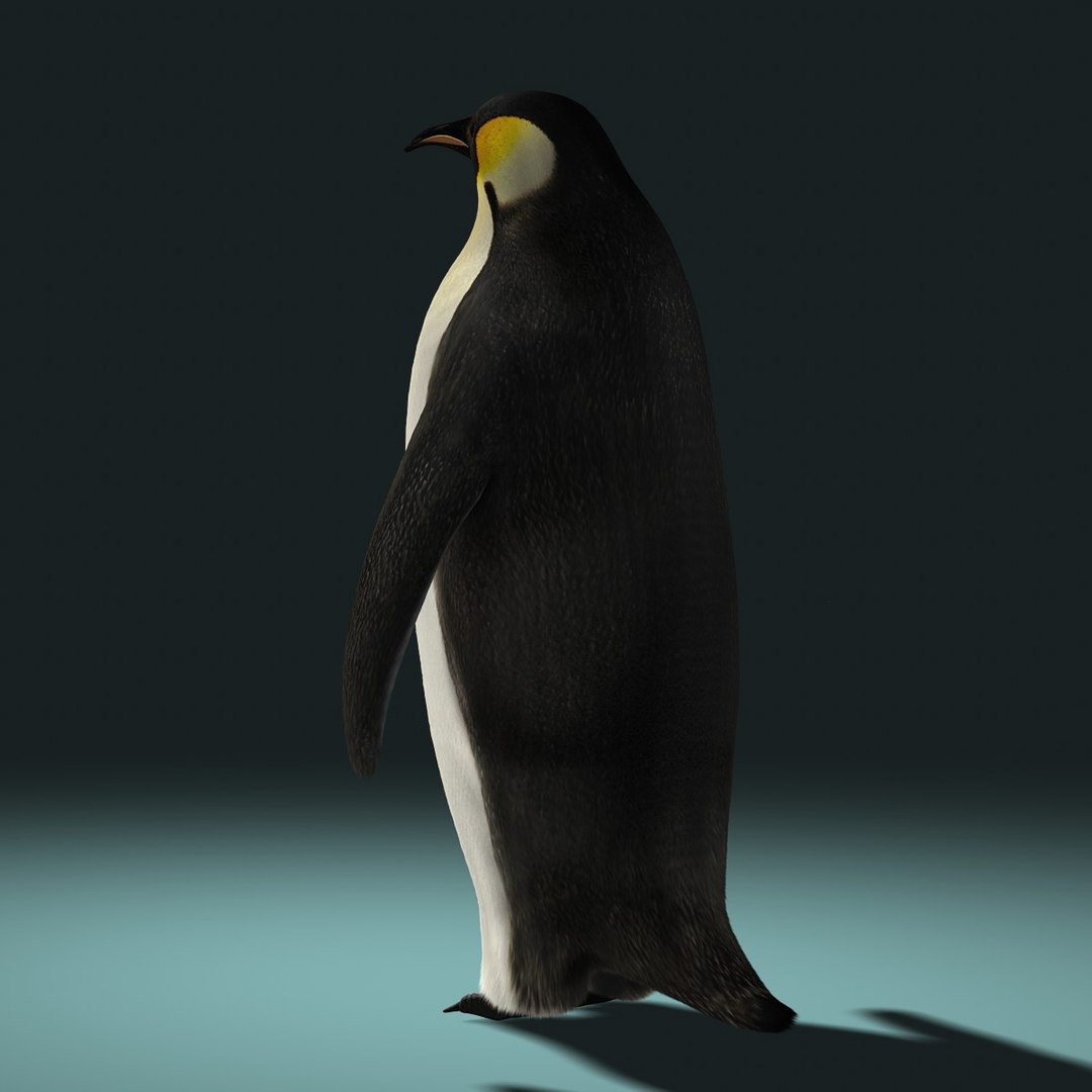 Ma Penguin Fur Rigged