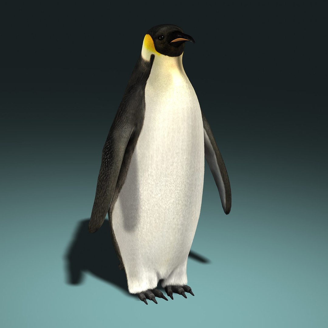 Ma Penguin Fur Rigged
