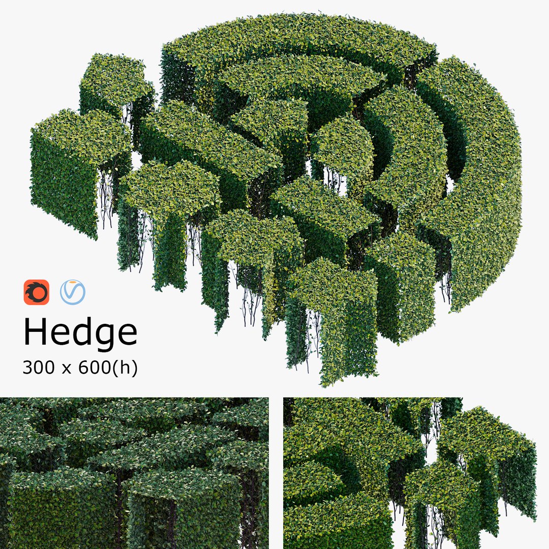 3D hedge h model - TurboSquid 1189268