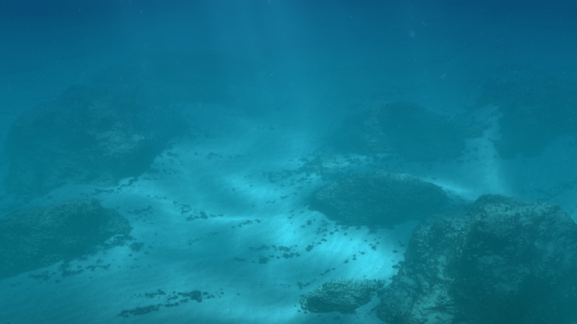 Photorealistic Water Model - TurboSquid 1252749