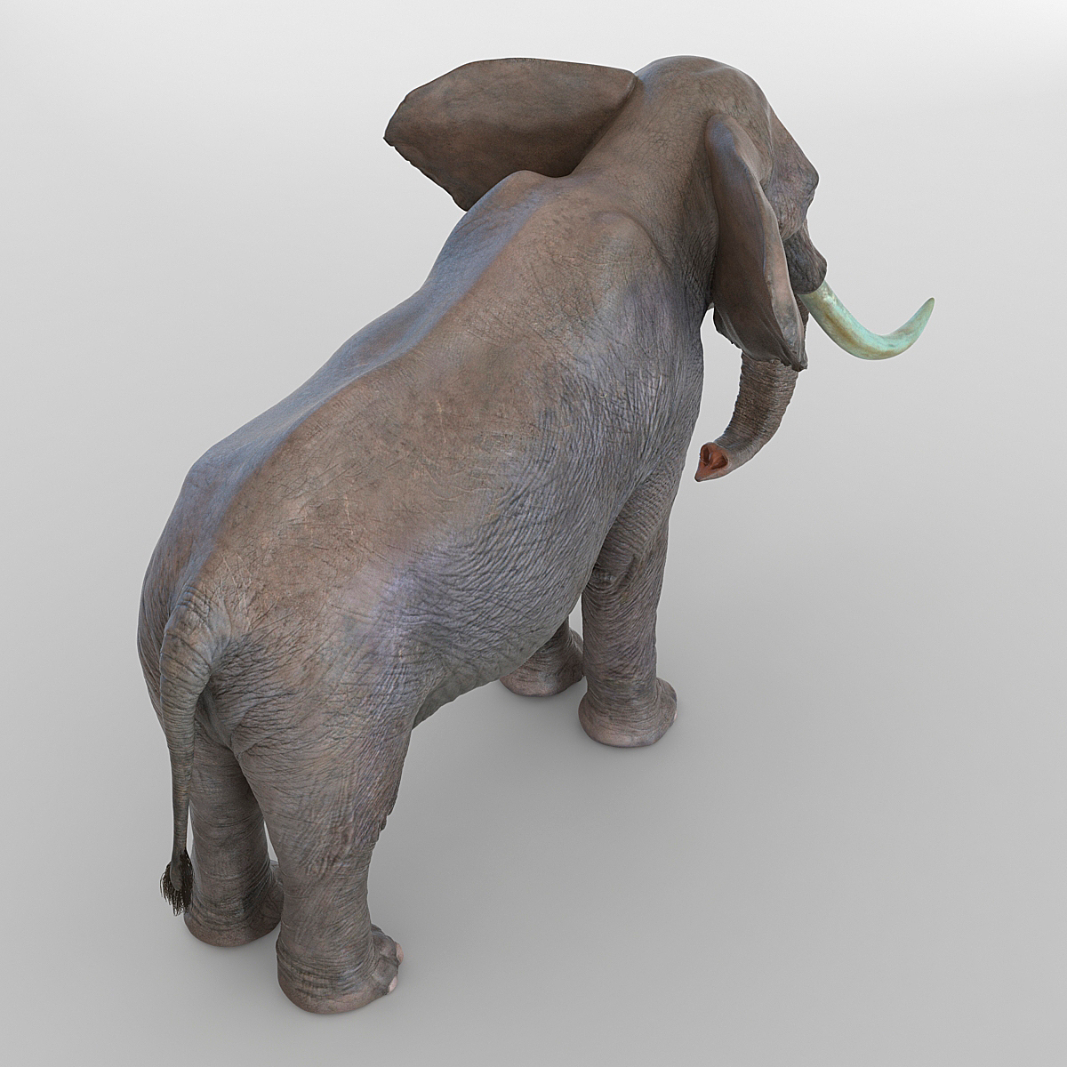 max elephant rigged animate