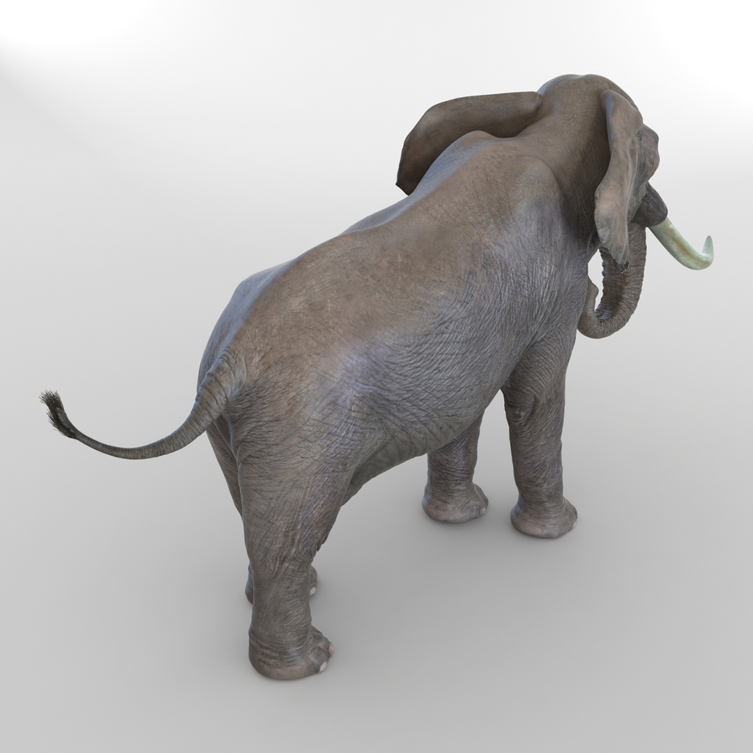 max elephant rigged animate