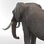 Max Elephant Rigged Animate