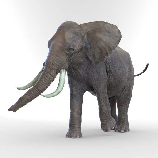 max elephant rigged animate