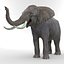 Max Elephant Rigged Animate