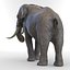 Max Elephant Rigged Animate