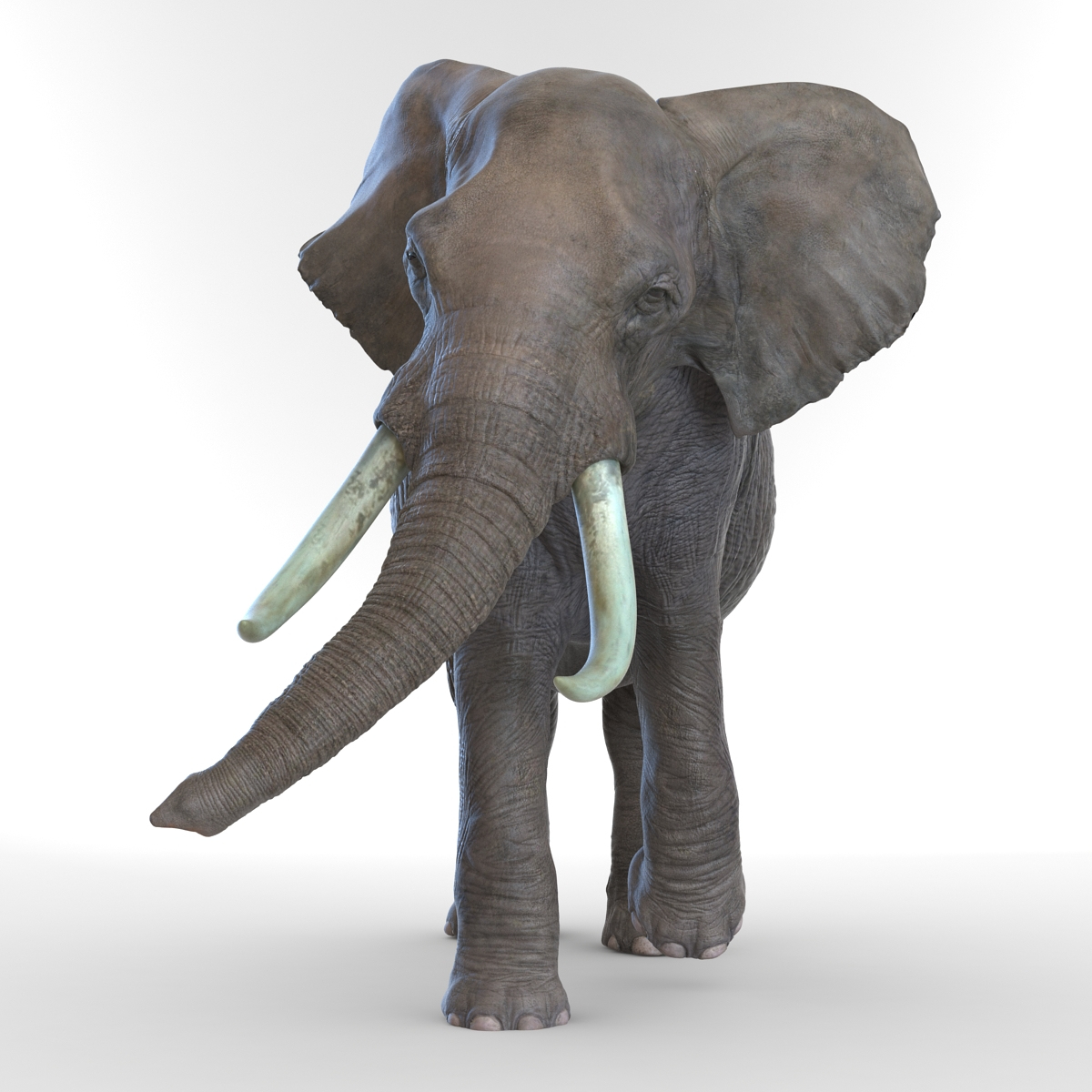 max elephant rigged animate
