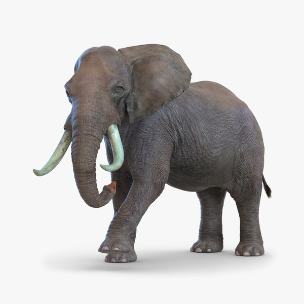 max elephant rigged animate