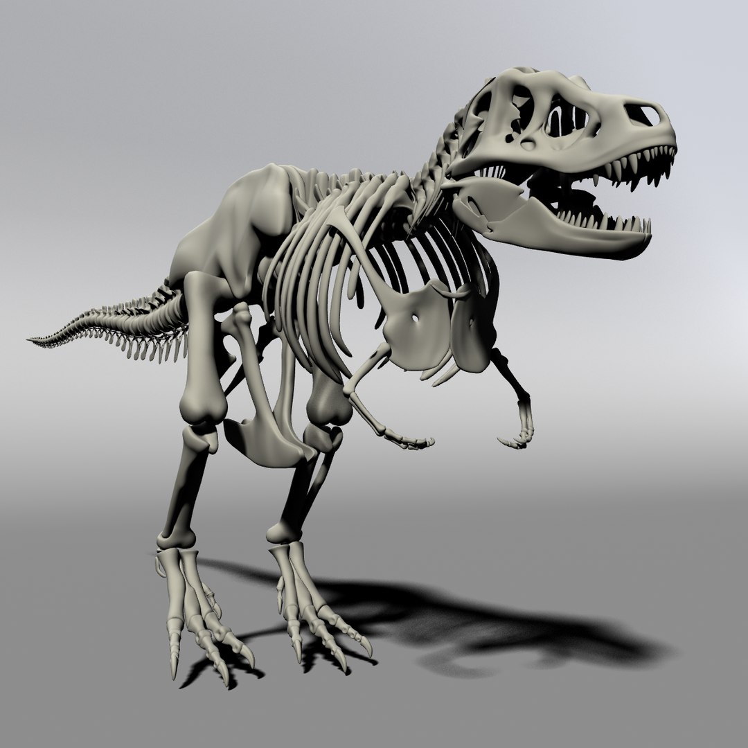 Rex Skeleton 3d Obj
