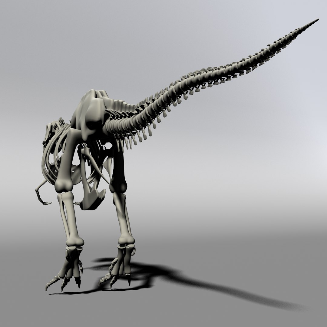 Rex Skeleton 3d Obj