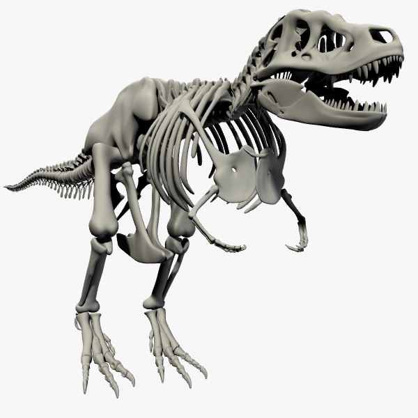 rex skeleton 3d obj