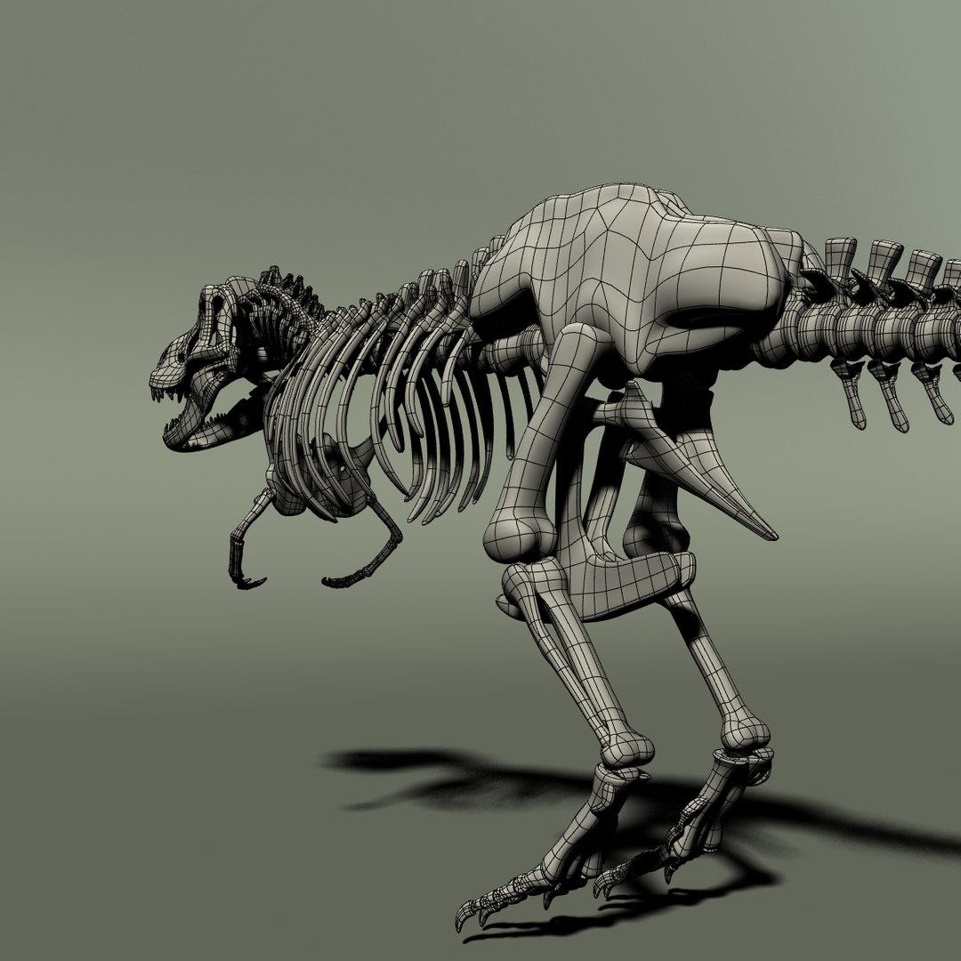 Rex Skeleton 3d Obj