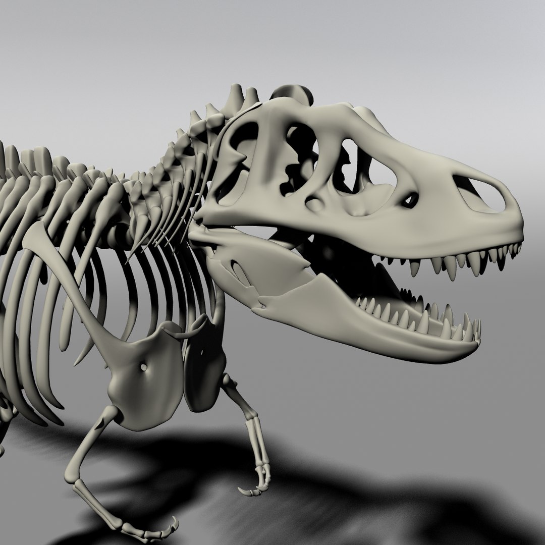Rex Skeleton 3d Obj