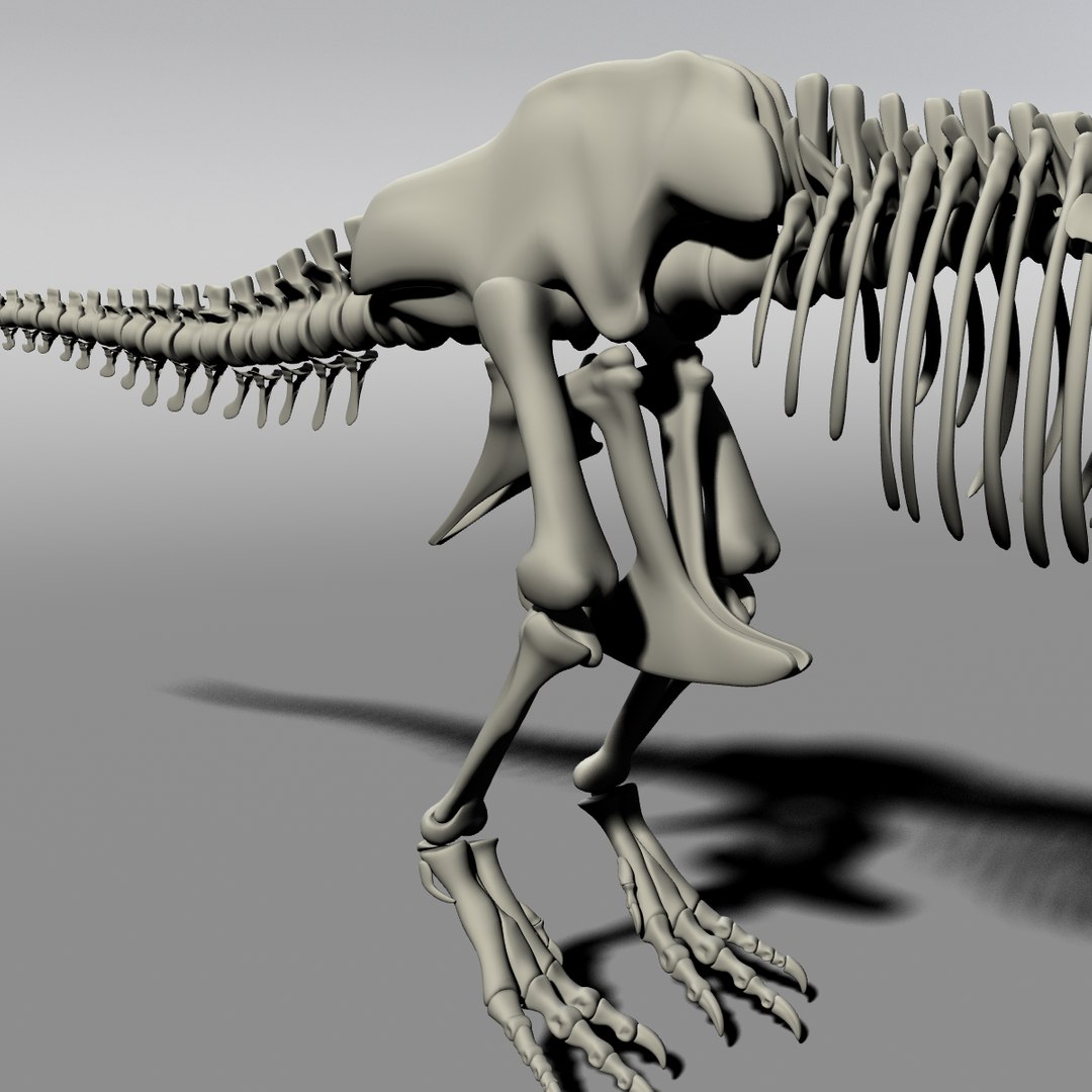 Rex Skeleton 3d Obj