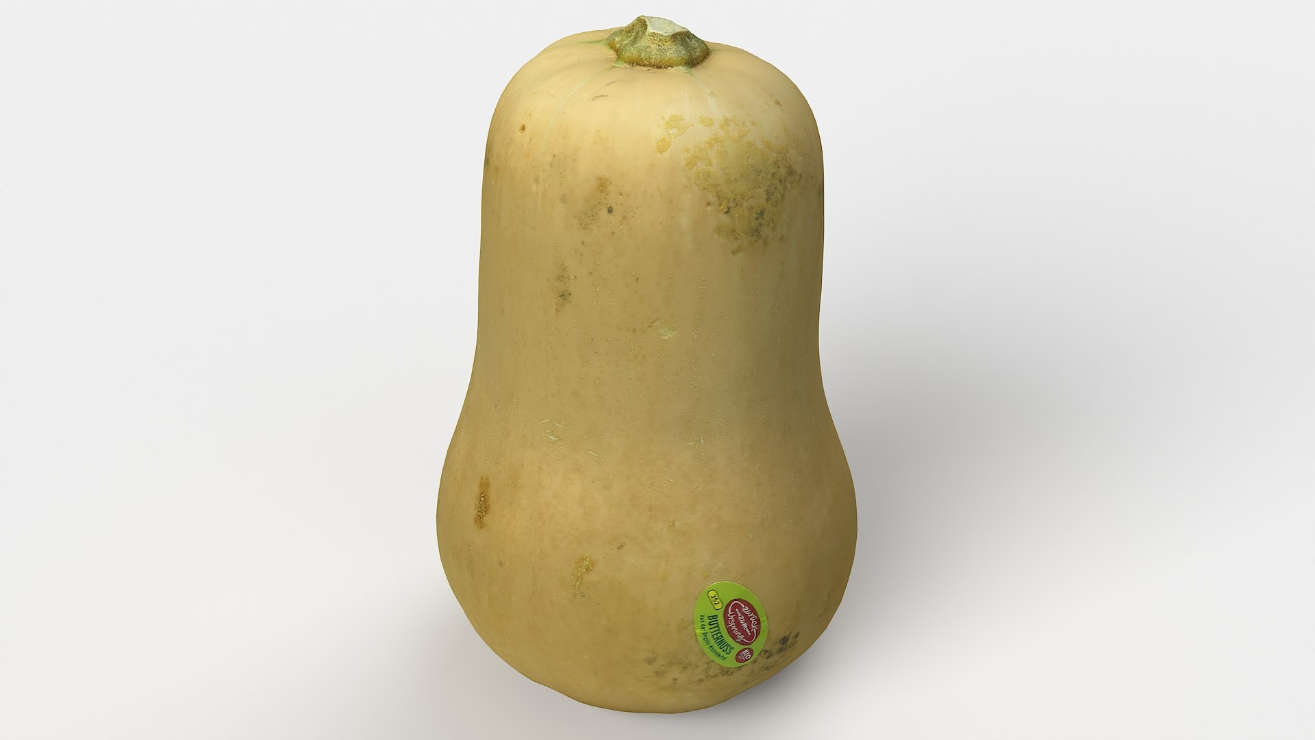 Butternut 3D Model - TurboSquid 1805487