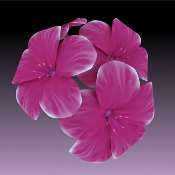 flower 3d max