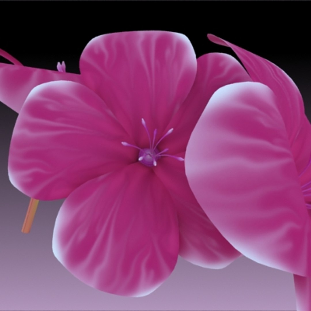 Flower 3d Max