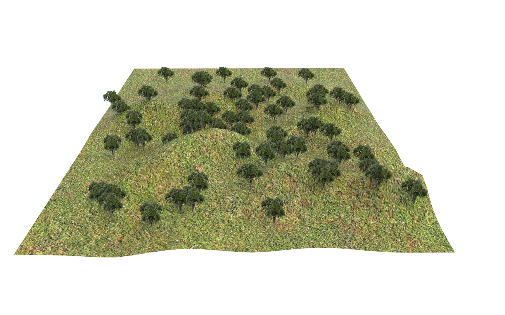 3D Forest 01 model - TurboSquid 2172872