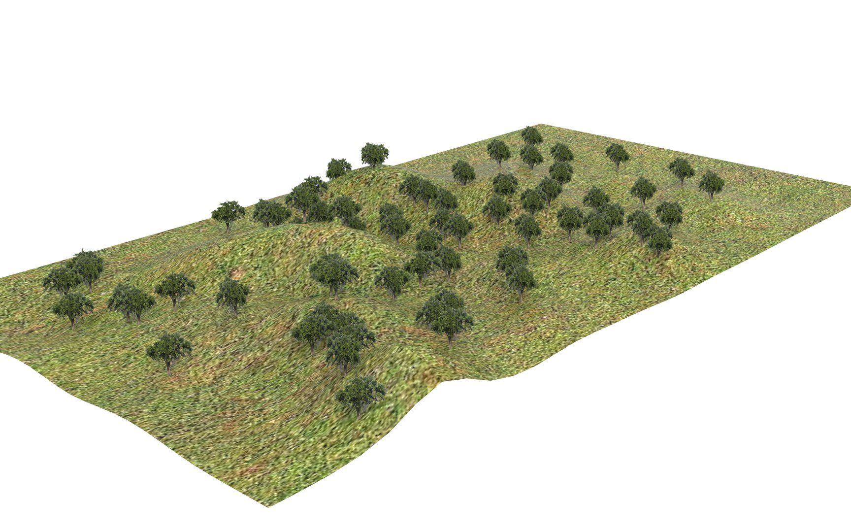 3D Forest 01 model - TurboSquid 2172872