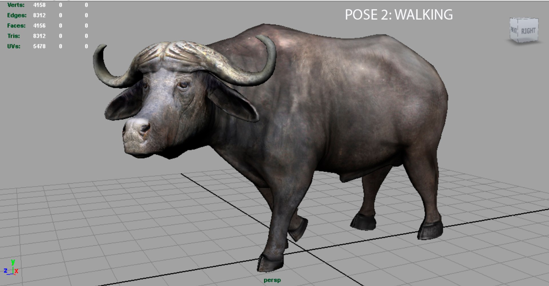 African Buffalo 3D Model - TurboSquid 1178604