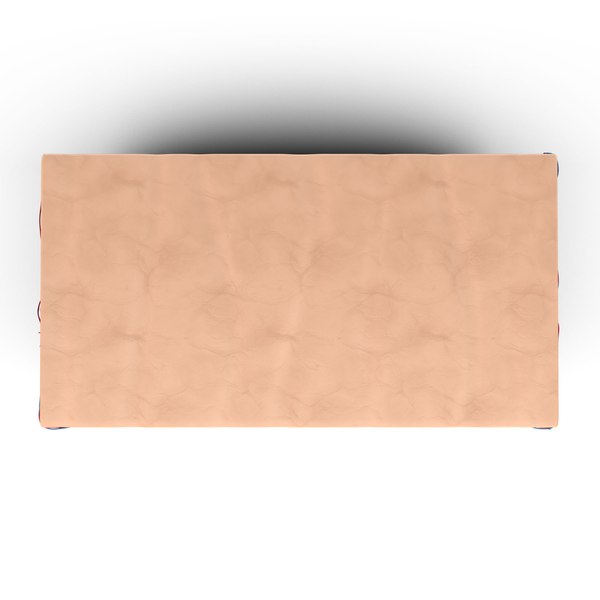 modelo 3d Sección transversal de la piel - TurboSquid 2179632