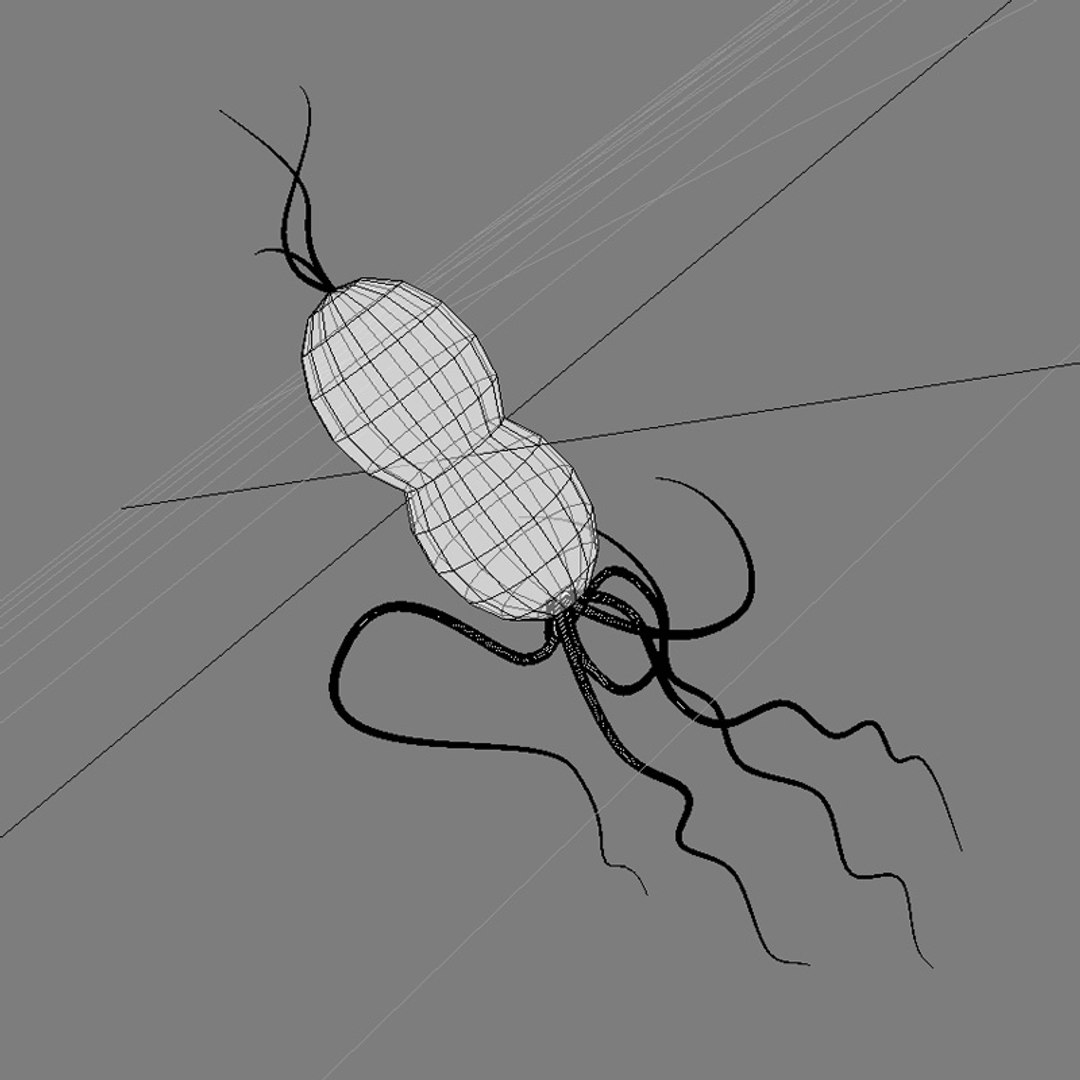 Microbes Micro Organisms 3d 3ds