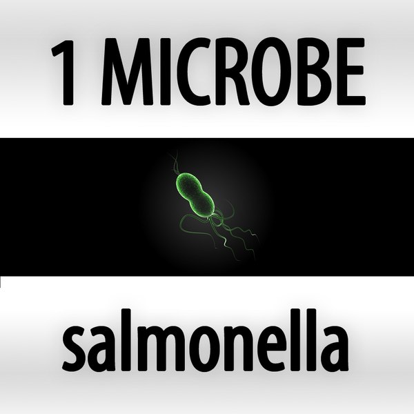 Salmonella 3D Models for Download | TurboSquid