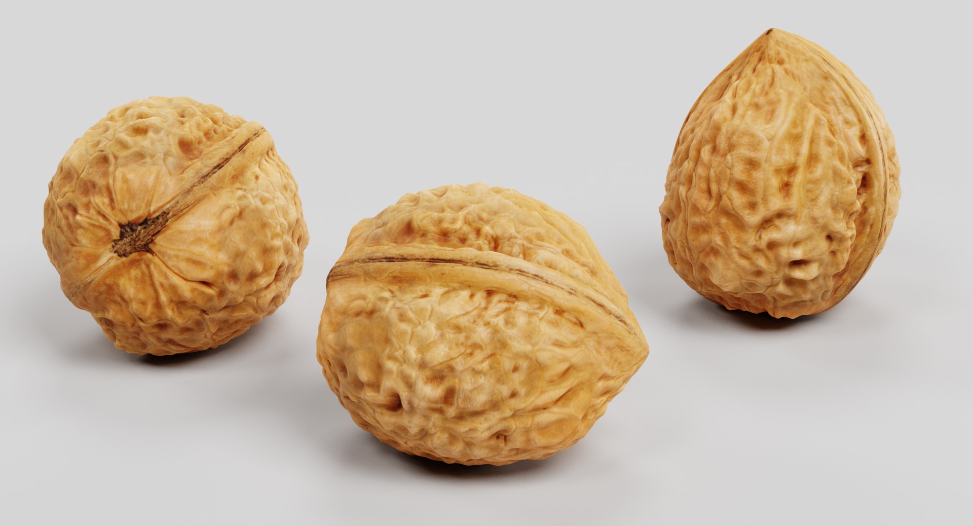 3D Walnut Shell - TurboSquid 1251903