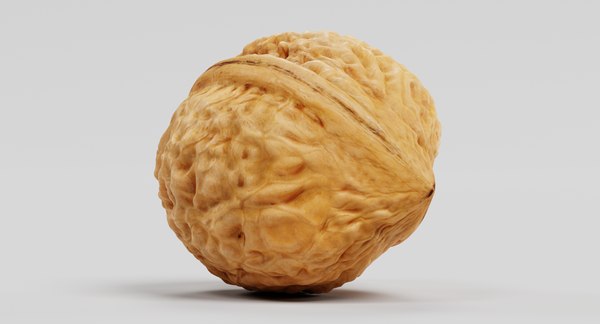 3D walnut shell - TurboSquid 1251903