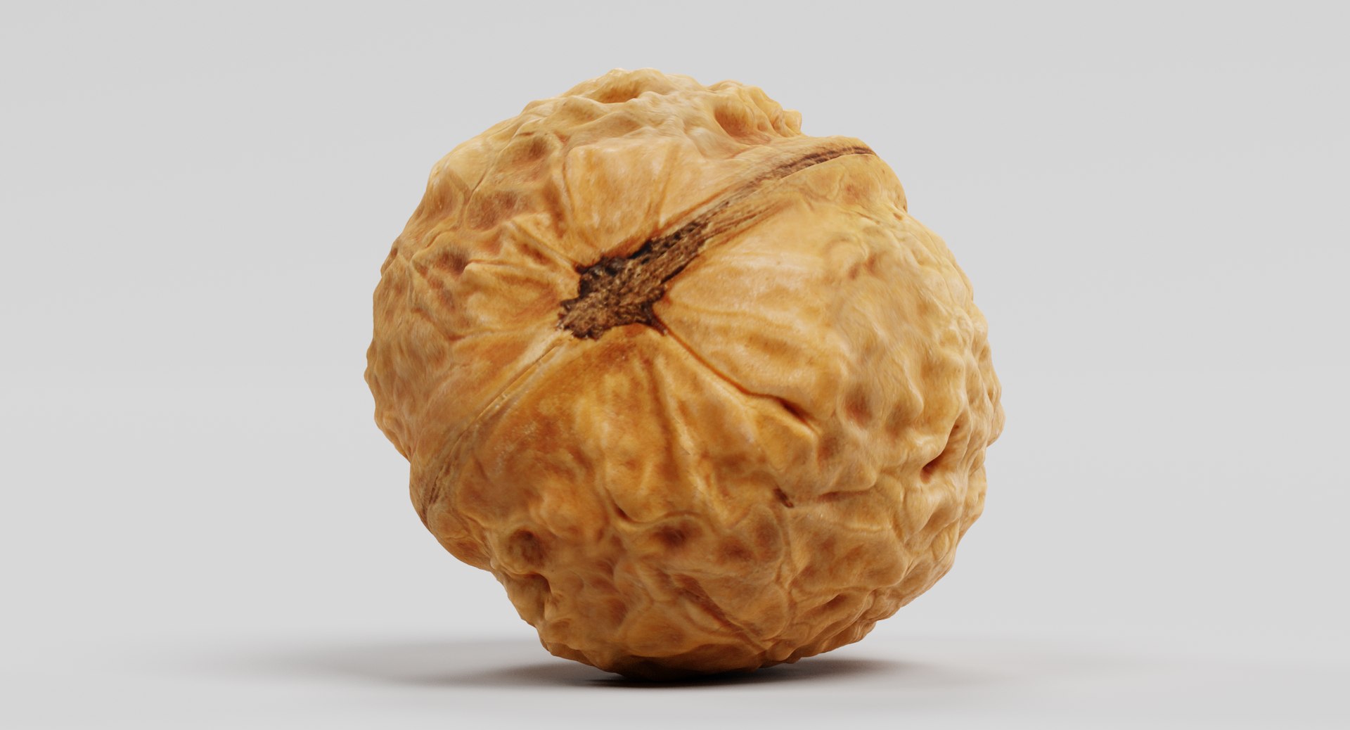 3D Walnut Shell - TurboSquid 1251903