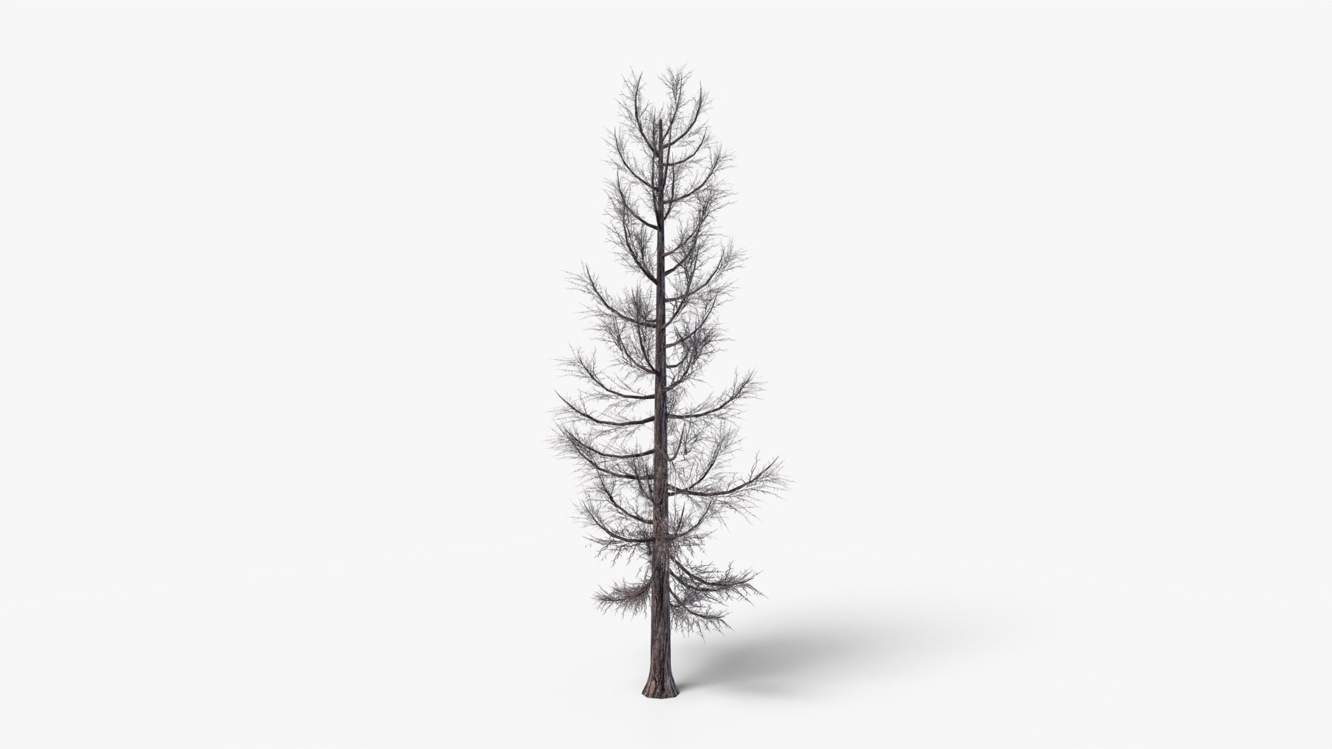 Low Poly Pine Tree 3D Model - TurboSquid 2013386