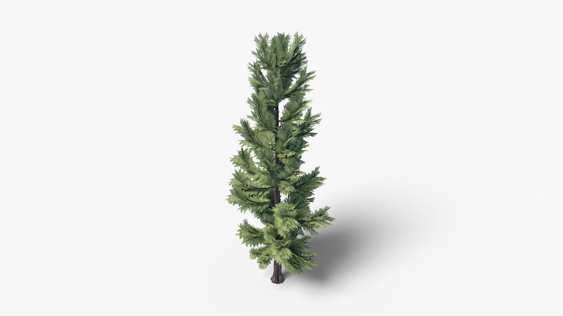 Low Poly Pine Tree 3D Model - TurboSquid 2013386