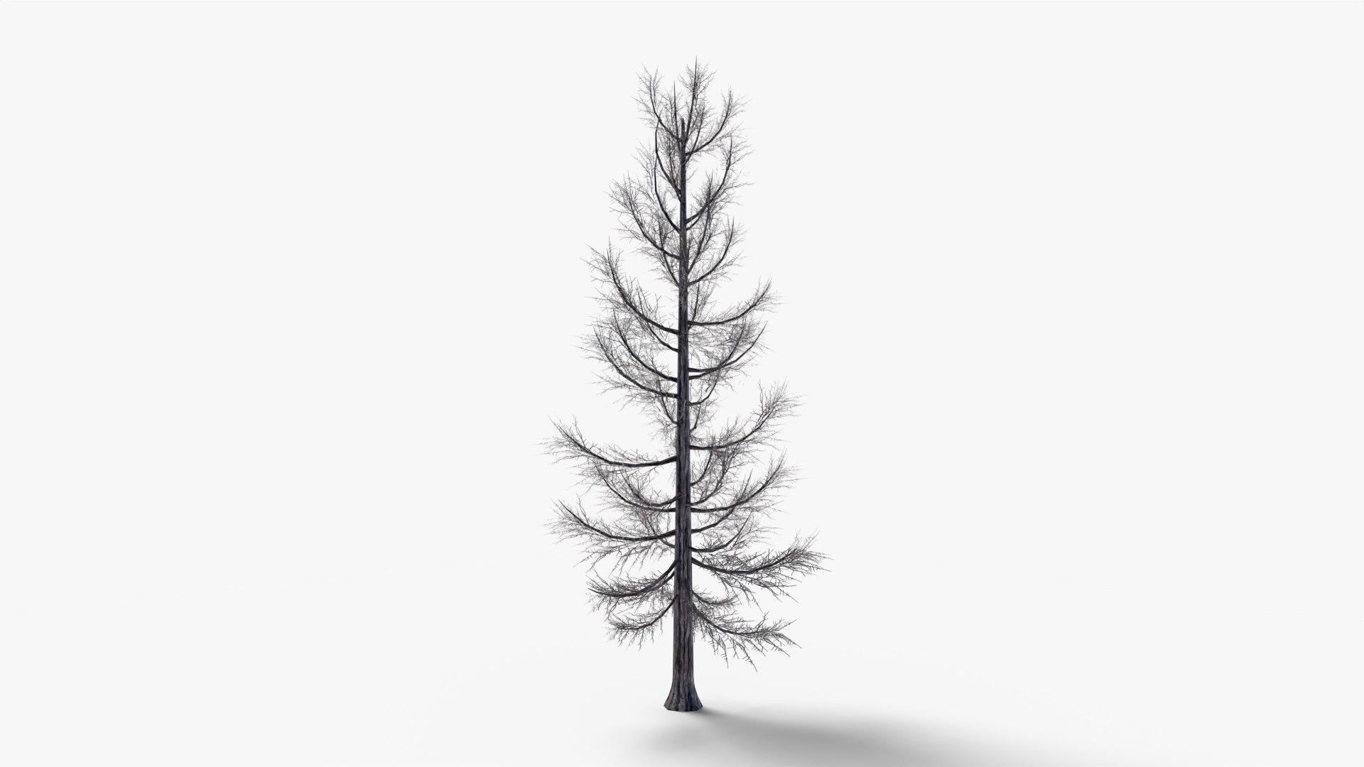 Low Poly Pine Tree 3D model - TurboSquid 2013386