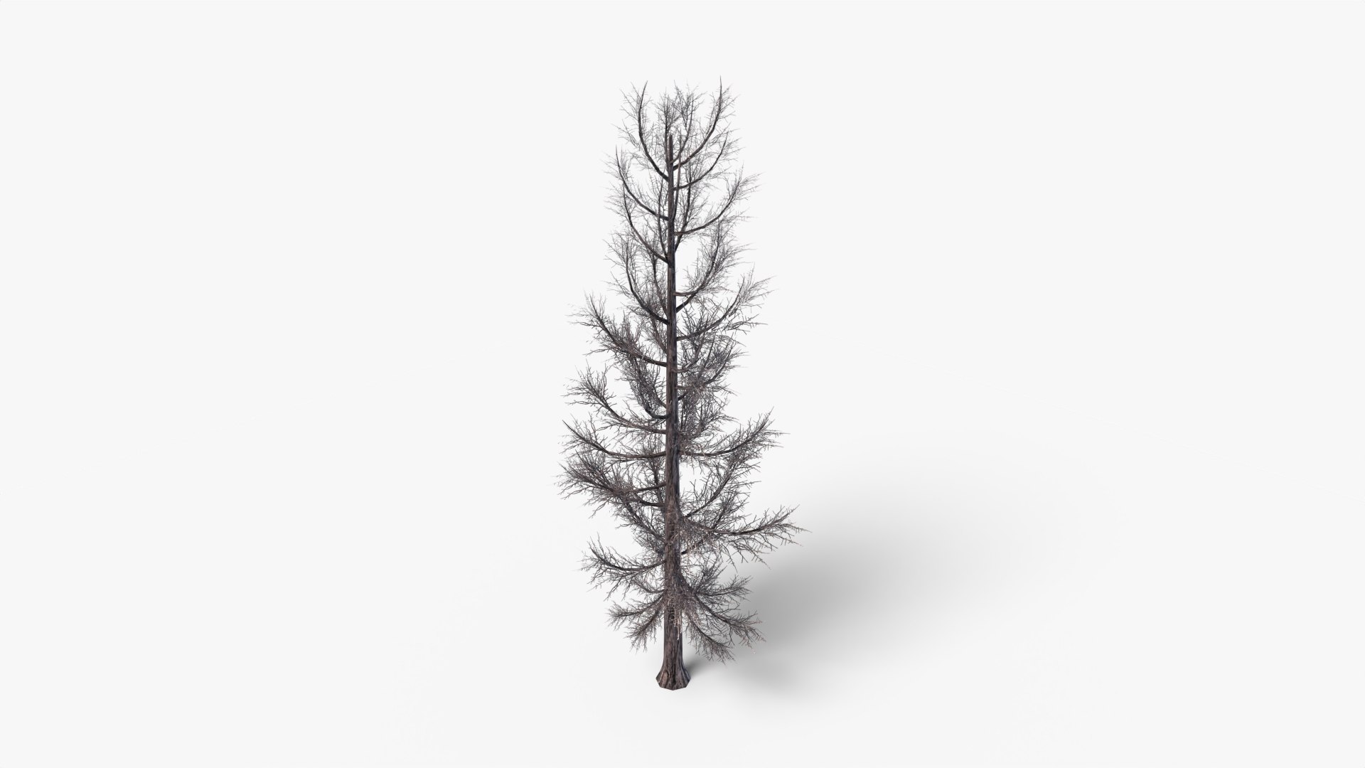 Low Poly Pine Tree 3D Model - TurboSquid 2013386