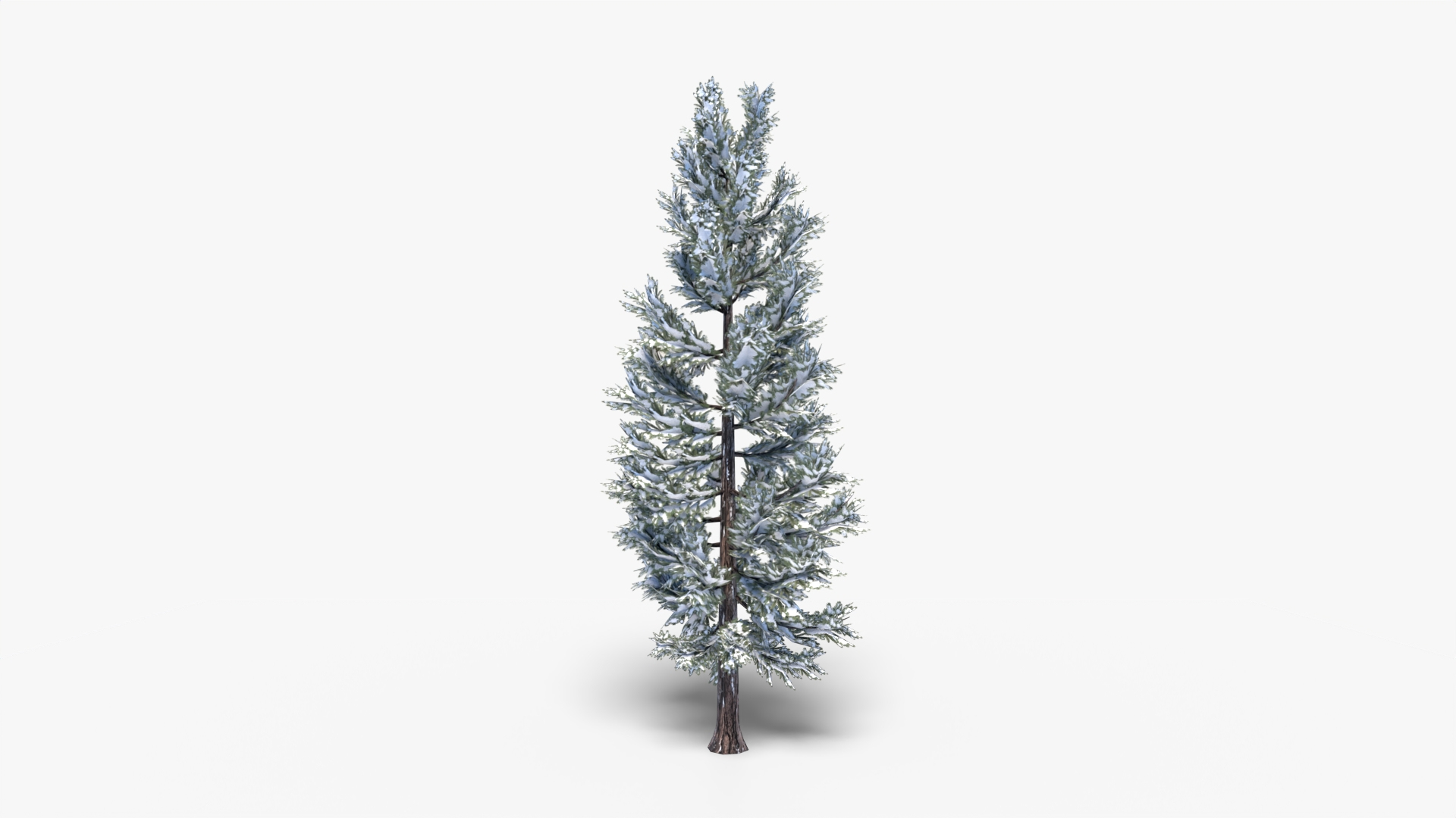 Low Poly Pine Tree 3D Model - TurboSquid 2013386