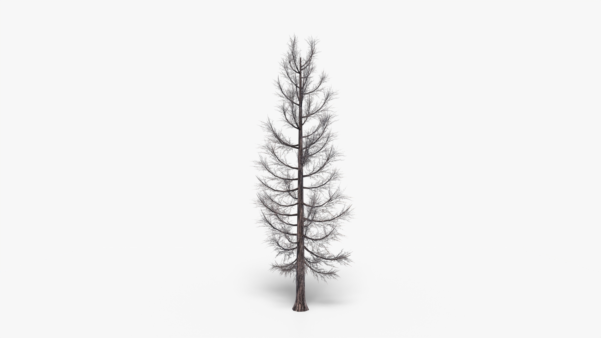 Low Poly Pine Tree 3D Model - TurboSquid 2013386