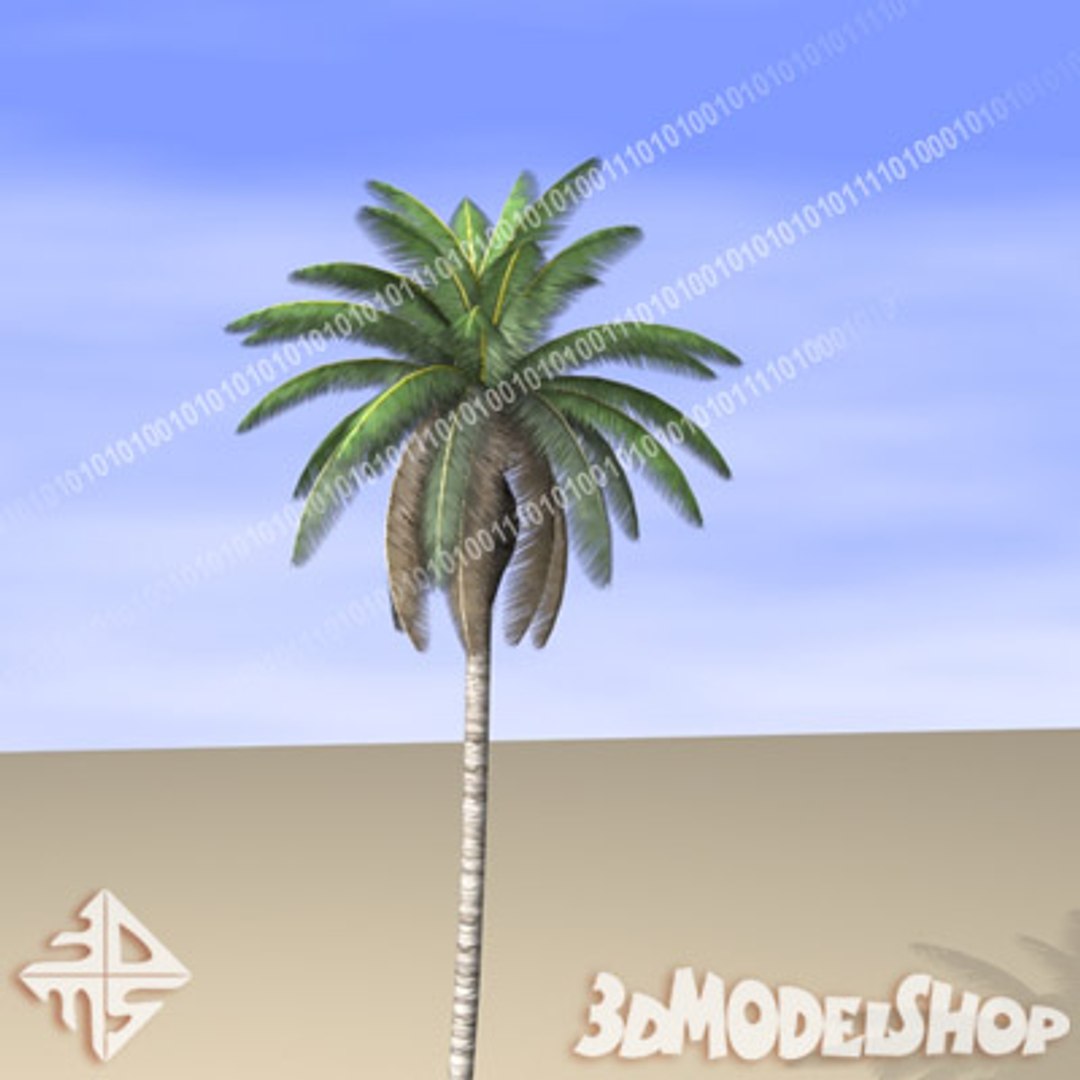 3d Palm Trees Set