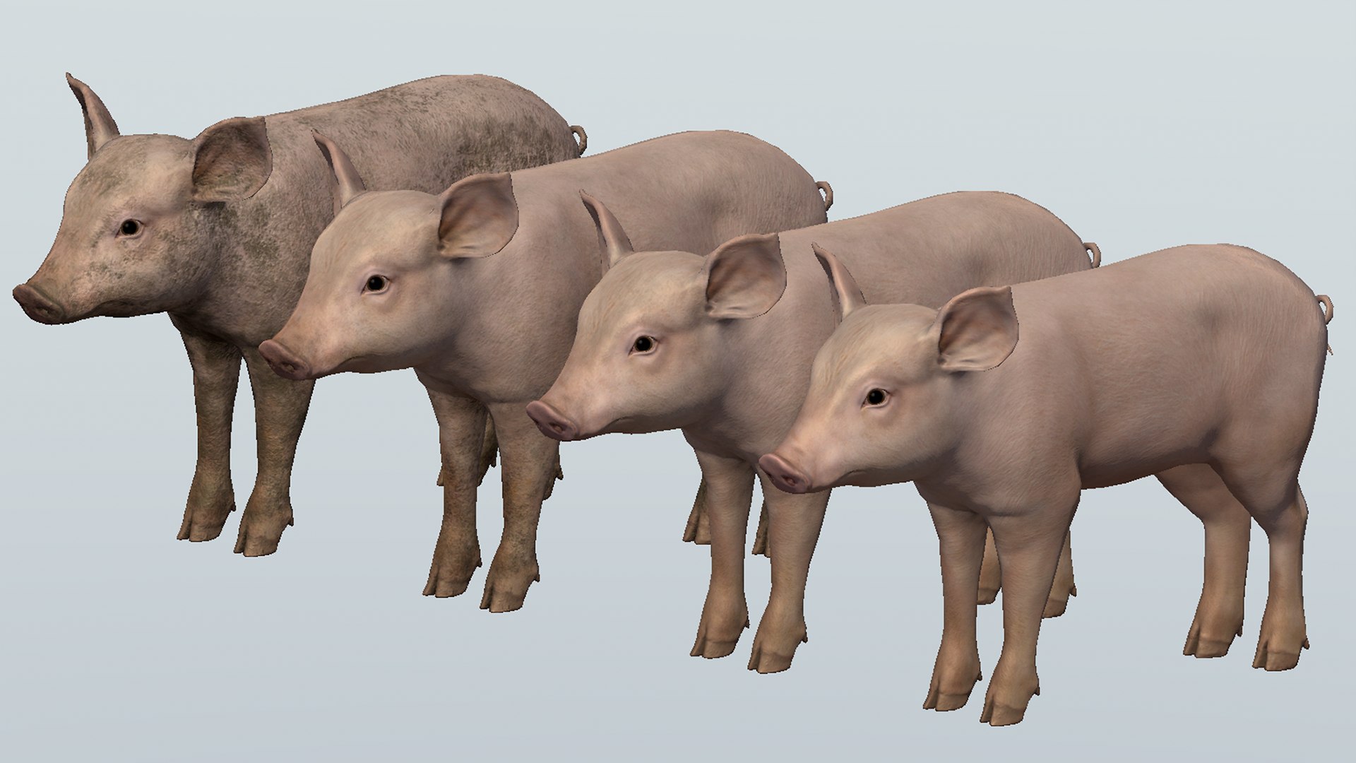 Piggy 3D Model - TurboSquid 1938389