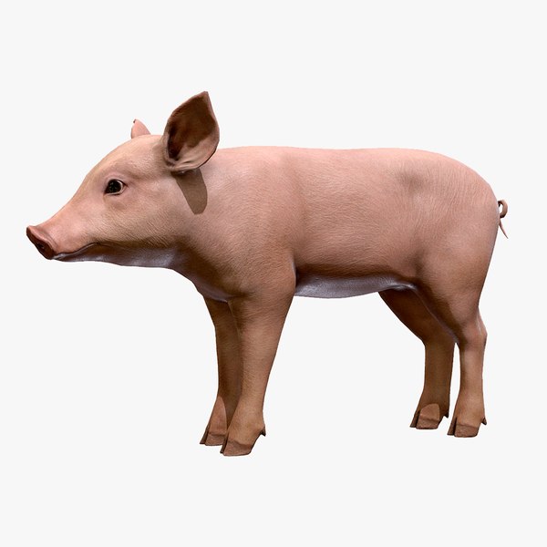 Pig Blender Models for Download | TurboSquid