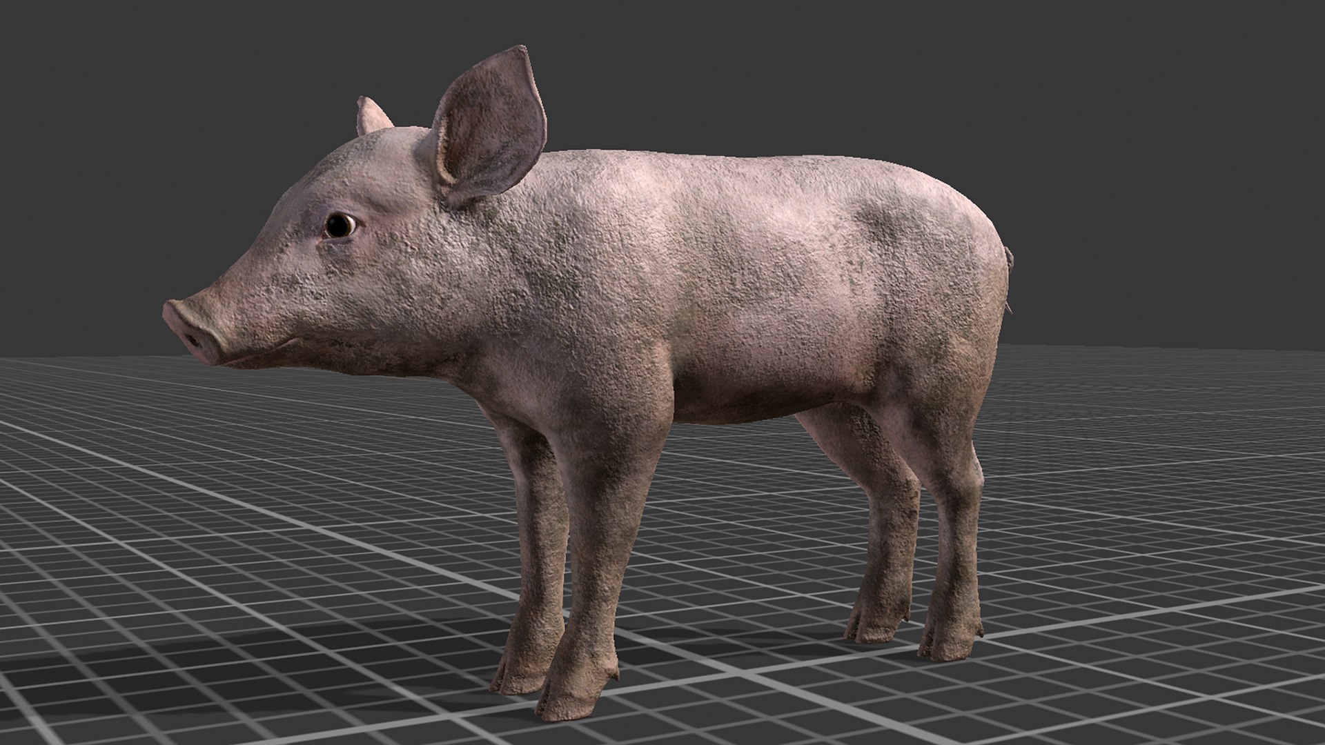 Piggy 3D Model - TurboSquid 1938389